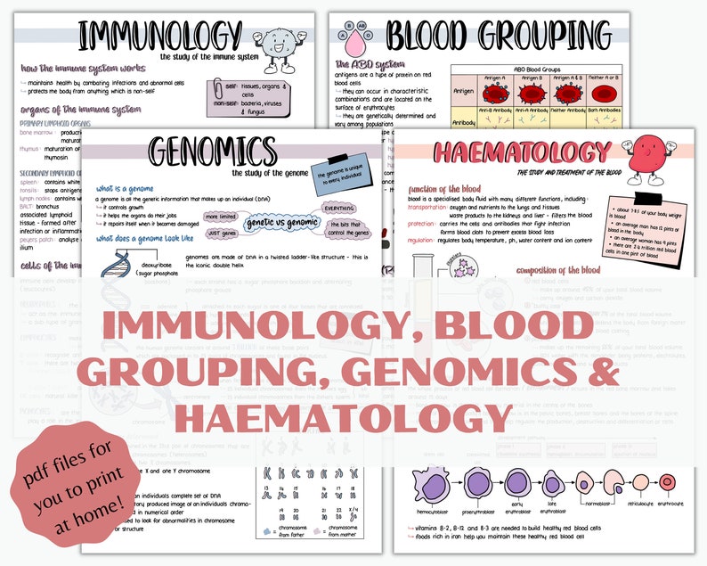 DIGITAL BUNDLE Immunology Blood Grouping Genomics Haematology Revision ...