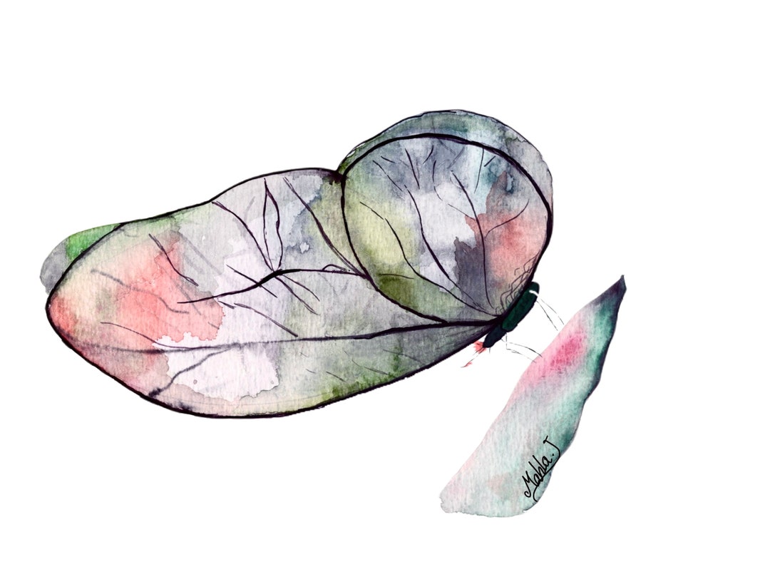 Watercolor Painting Art and Very Special Unic Designs - Etsy