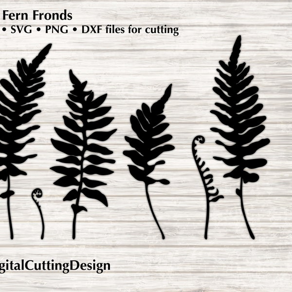 Fern Svg - Etsy