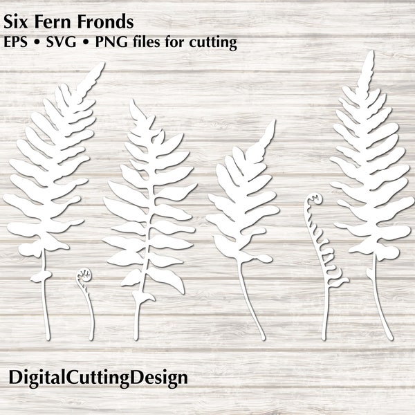 Fern Svg - Etsy