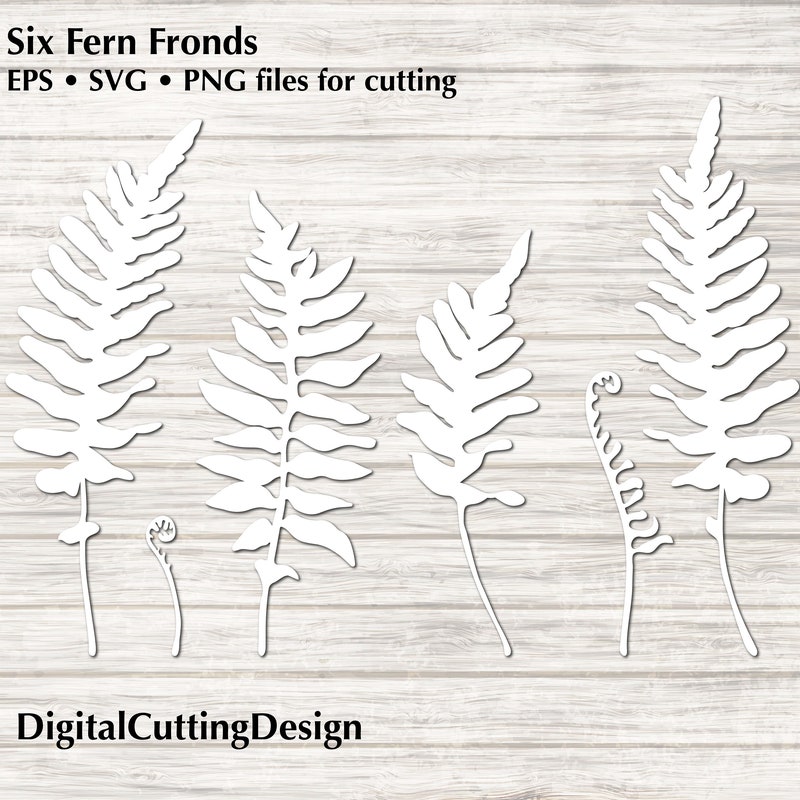 Fern Svg - Etsy