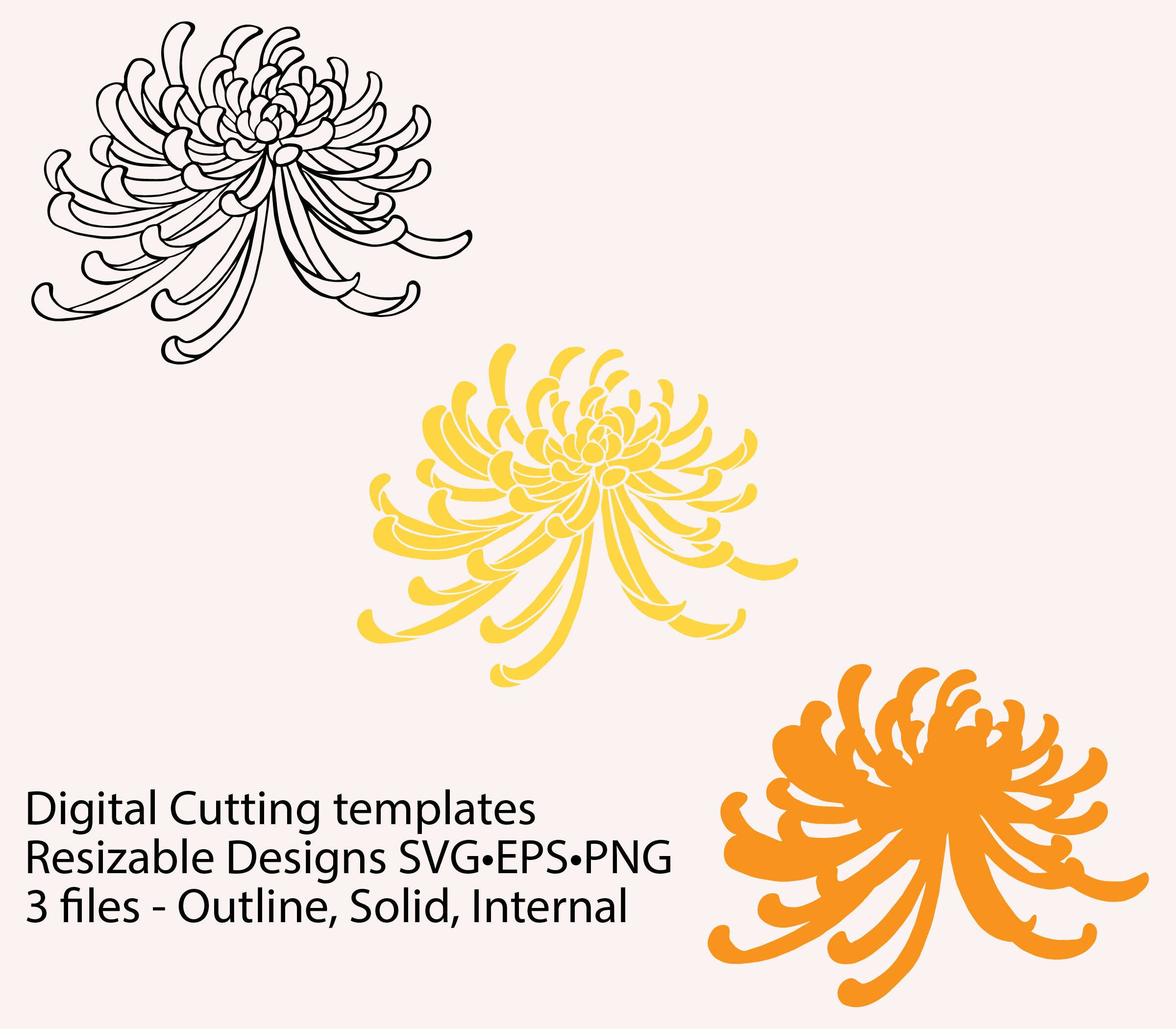 Chrysanthemum 3 Vector Resizable Cutting Files - Etsy