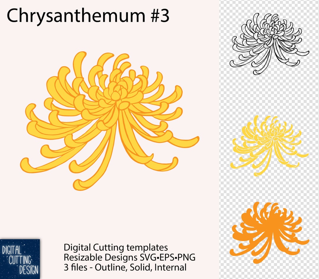 Chrysanthemum 3 Vector Resizable Cutting Files - Etsy