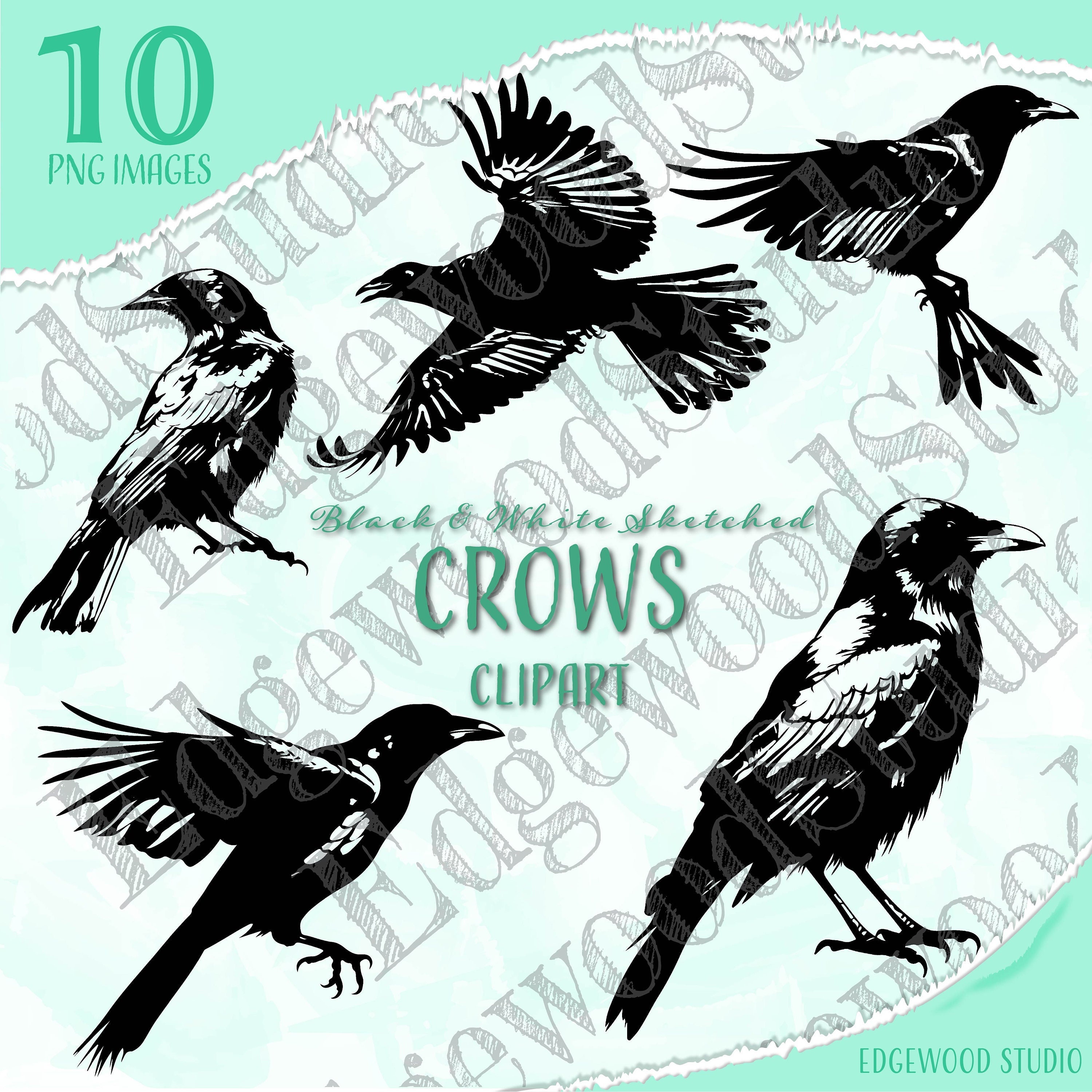 Crow, Bird, Raven, Bird Flying, Wings, Crow SVG, Clipart, Circuit ...