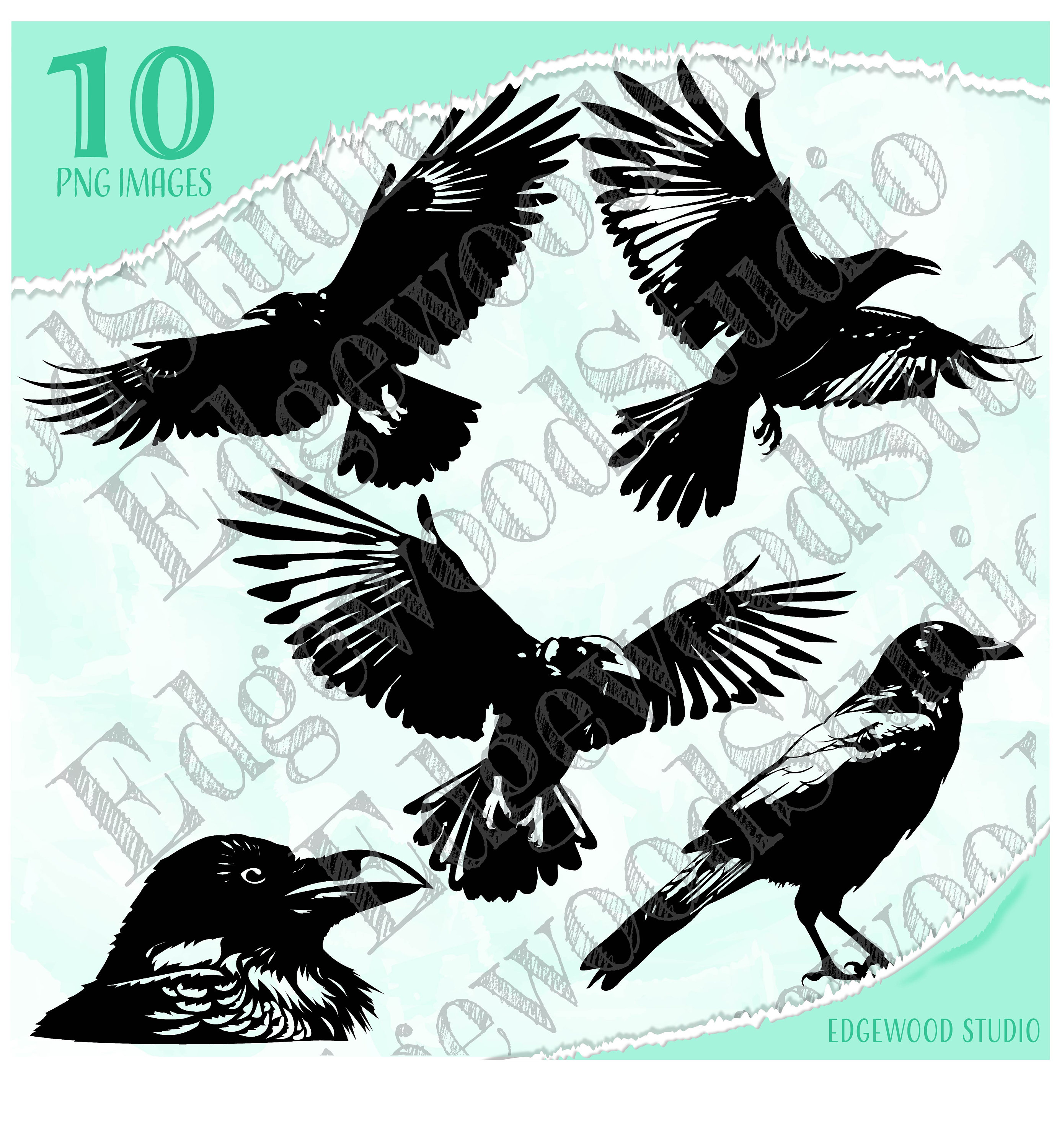 Crow, Bird, Raven, Bird Flying, Wings, Crow SVG, Clipart, Circuit ...