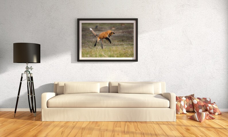 Red Fox Kit Jumping - Etsy