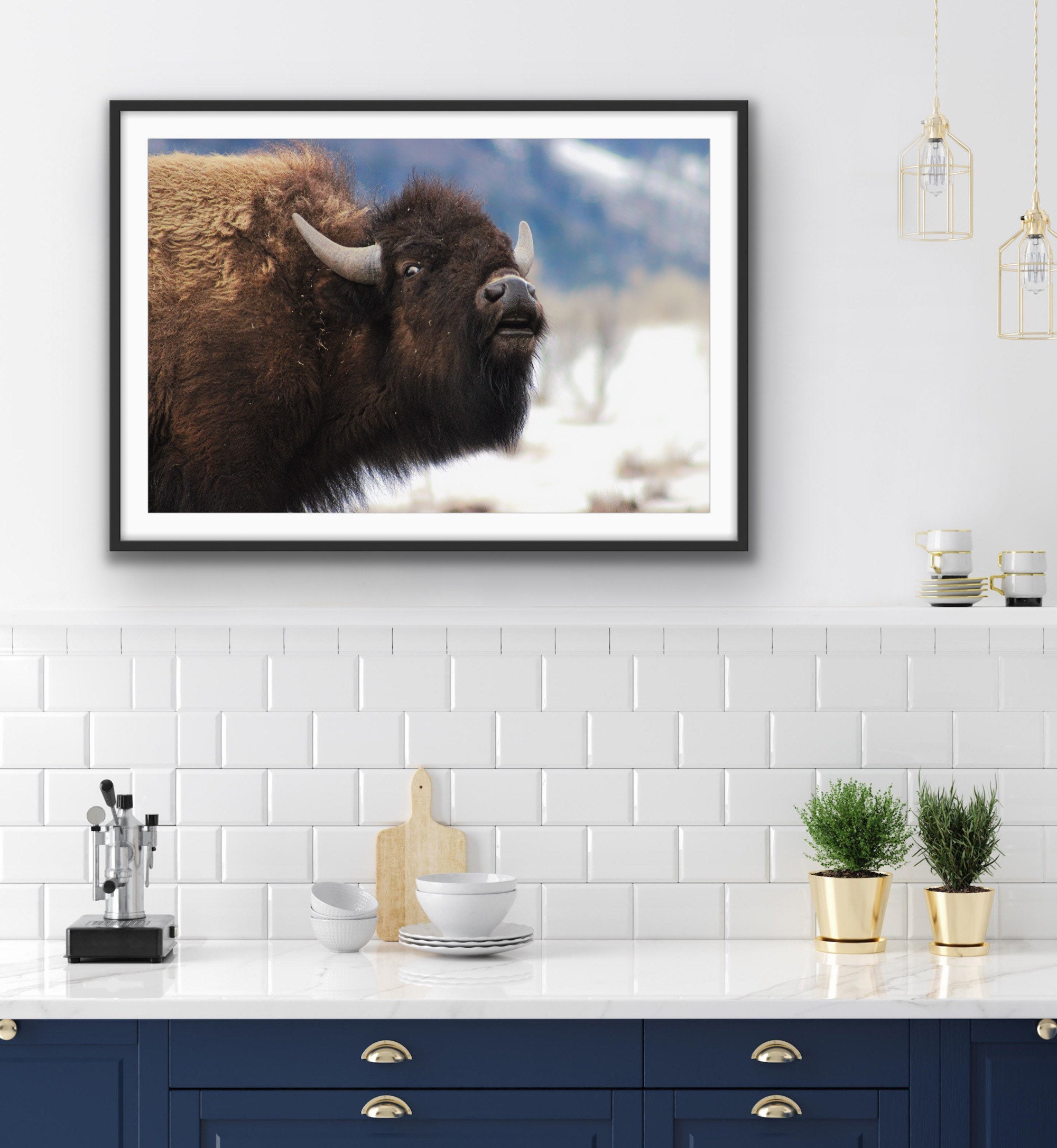 Bison Bellowing in Winter - Etsy