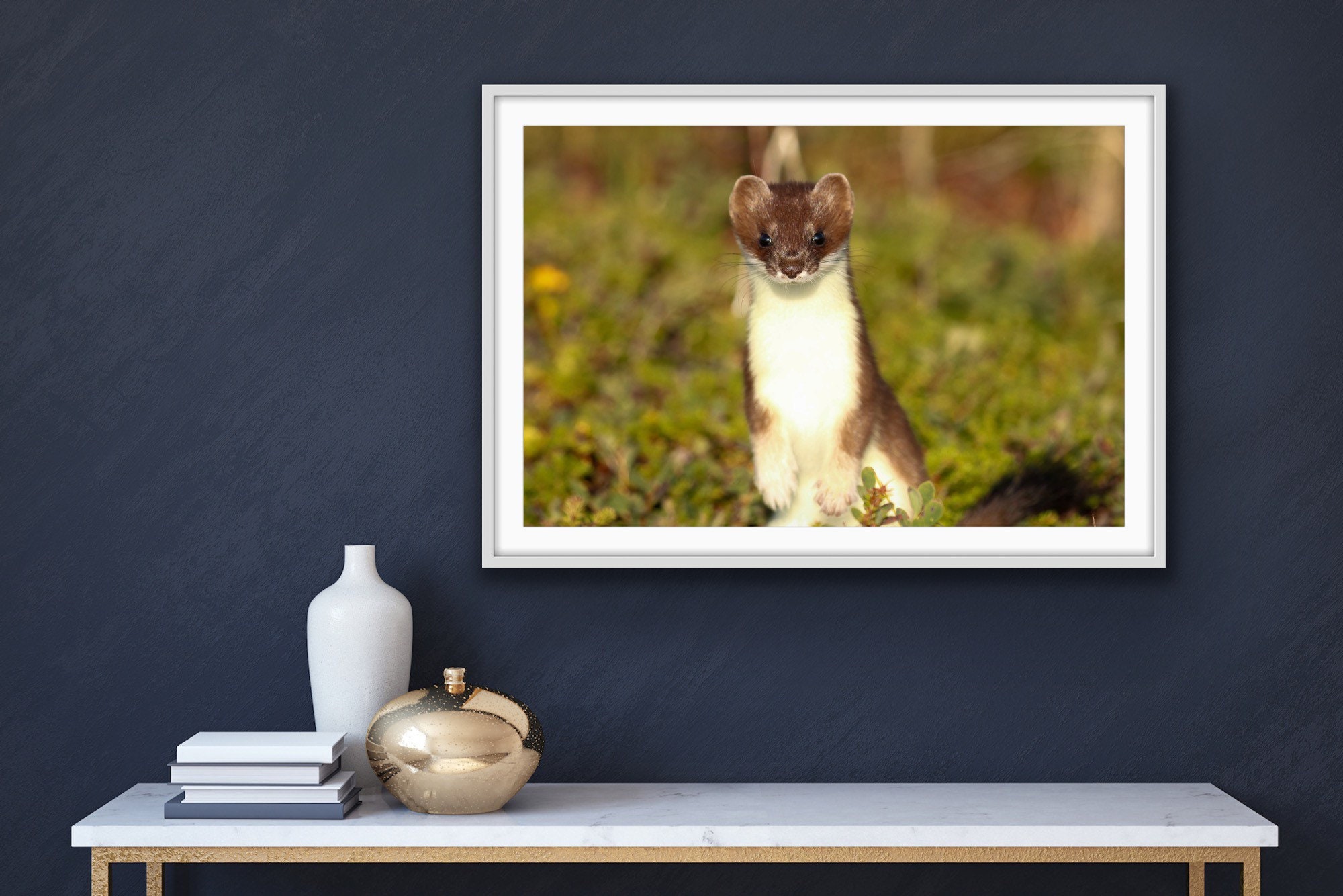 Curious Short-tailed Weasel (ermine) in Katmai National Park, Alaska - Etsy