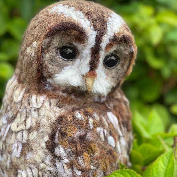 Owl Felt - Etsy