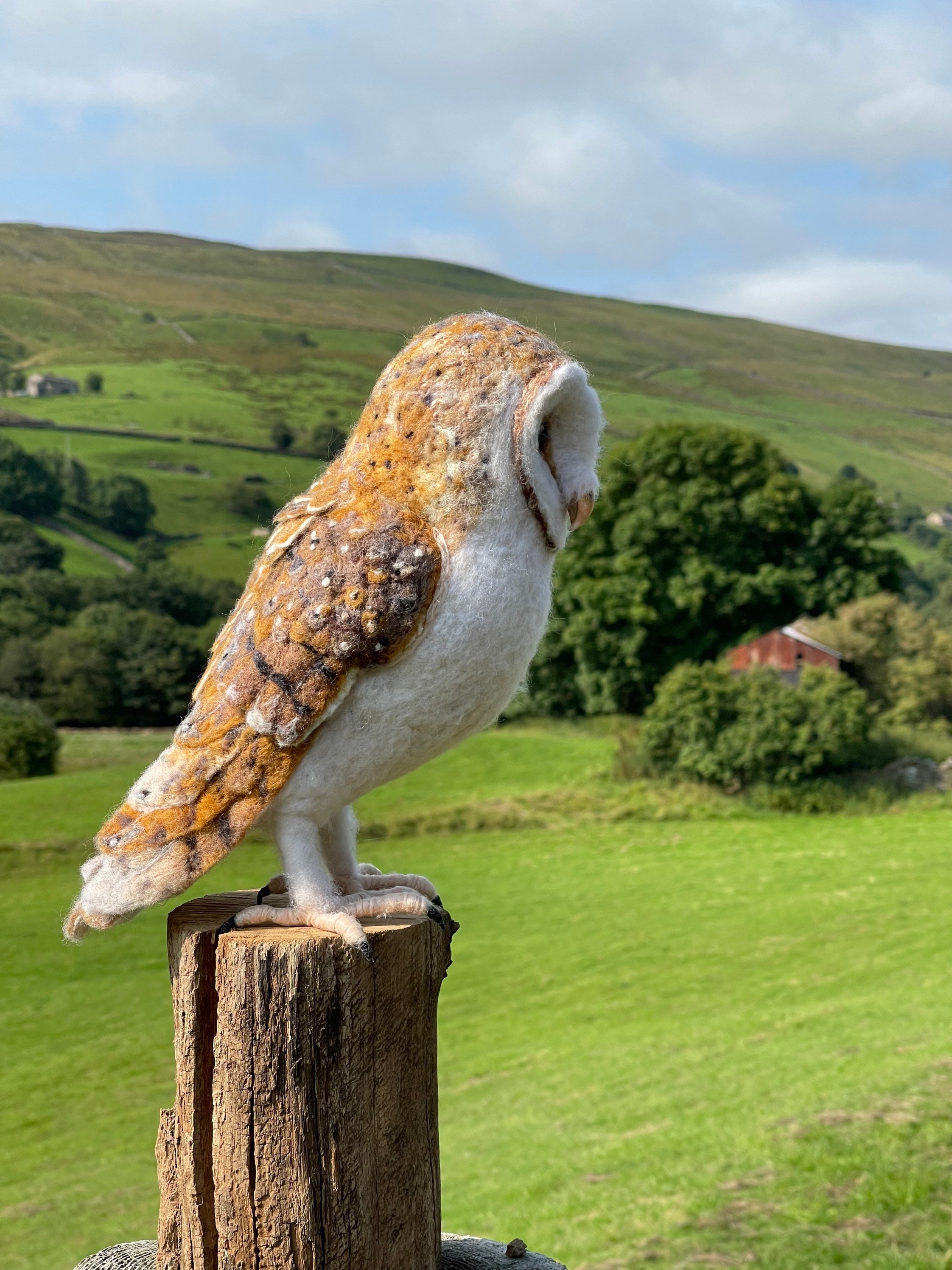 Barn Owl Felt Sculpture - Etsy UK