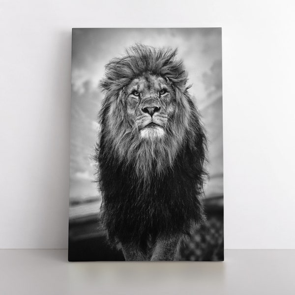 Baby Lion Frame - Etsy