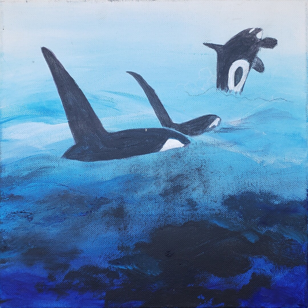 8 X 10 Killer Whale Print, Killer Whale Art, Orca Art, Wildlife Art ...