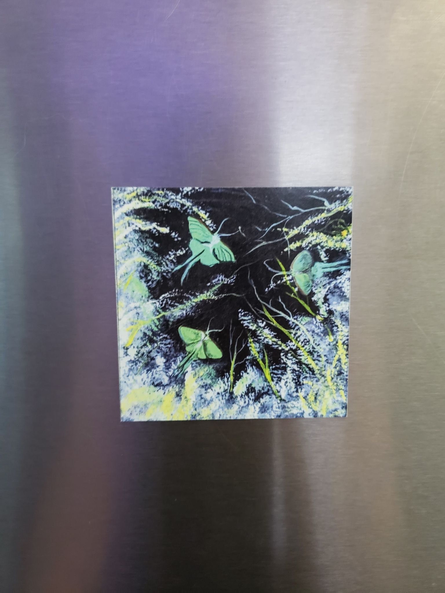 Luna Moth Magnet Spooky Magnet Bug Magnet Insect Magnet - Etsy