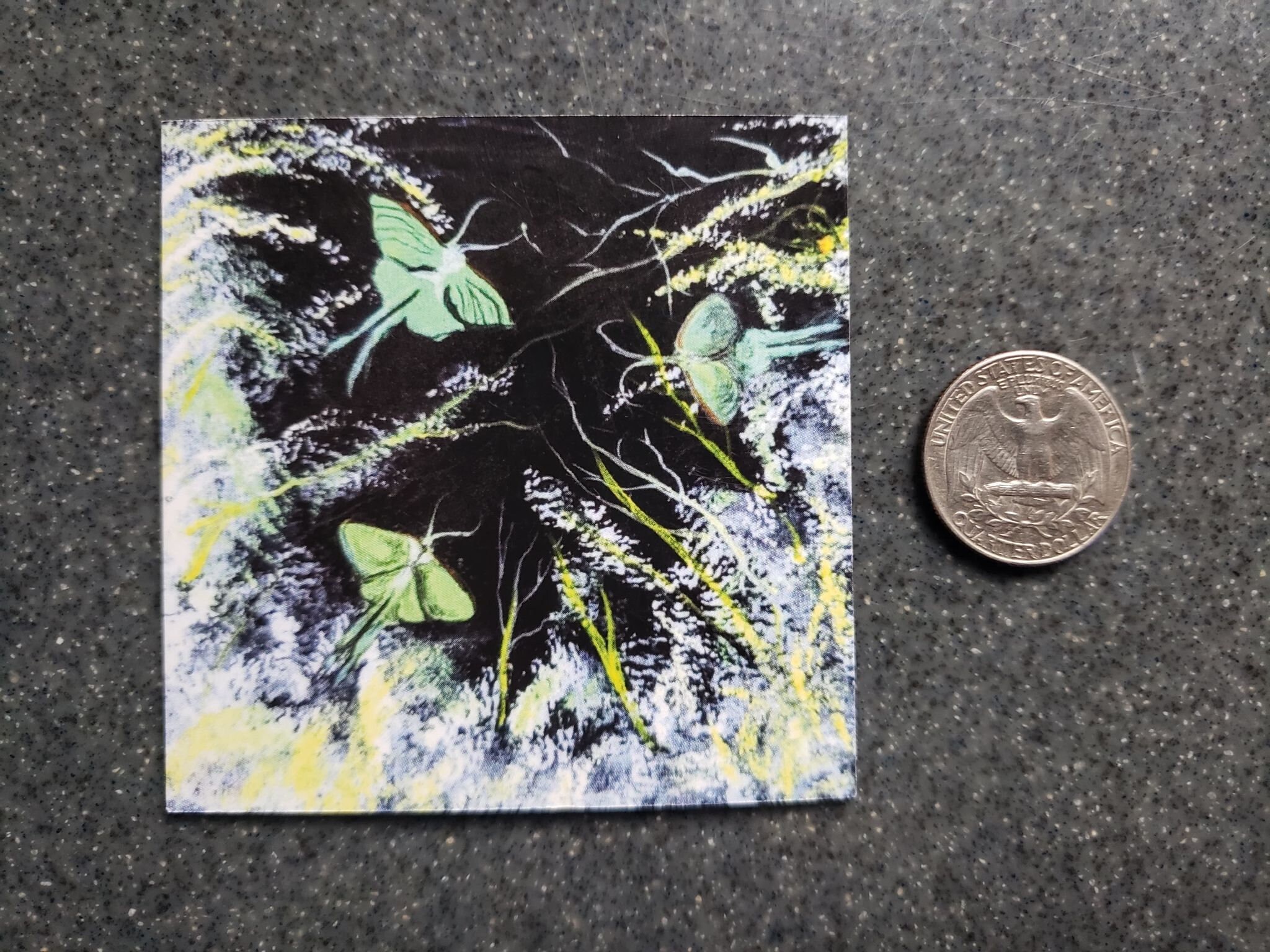 Luna Moth Magnet Spooky Magnet Bug Magnet Insect Magnet - Etsy