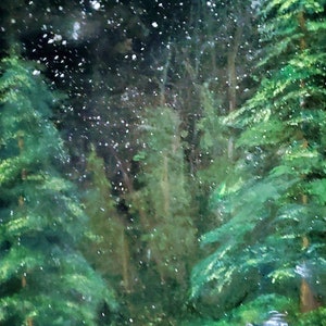 Starry Night With Woods and Stream Magnet, Bob Ross Style Nature Art ...