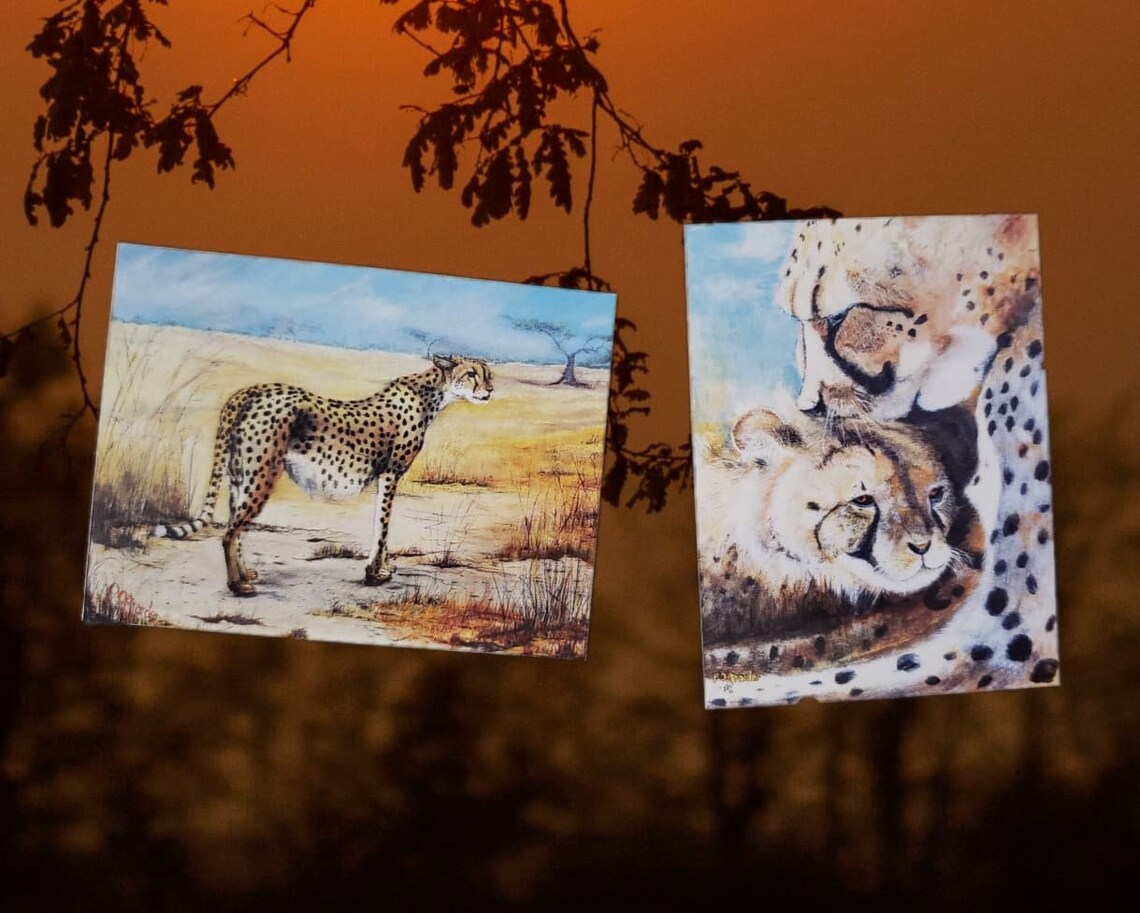 Gepard Sticker Pack Gepard Art Safari Sticker Wildlife - Etsy.de