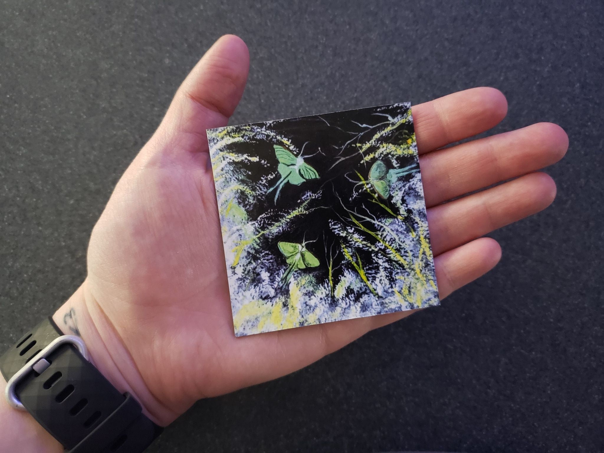 Luna Moth Magnet Spooky Magnet Bug Magnet Insect Magnet - Etsy