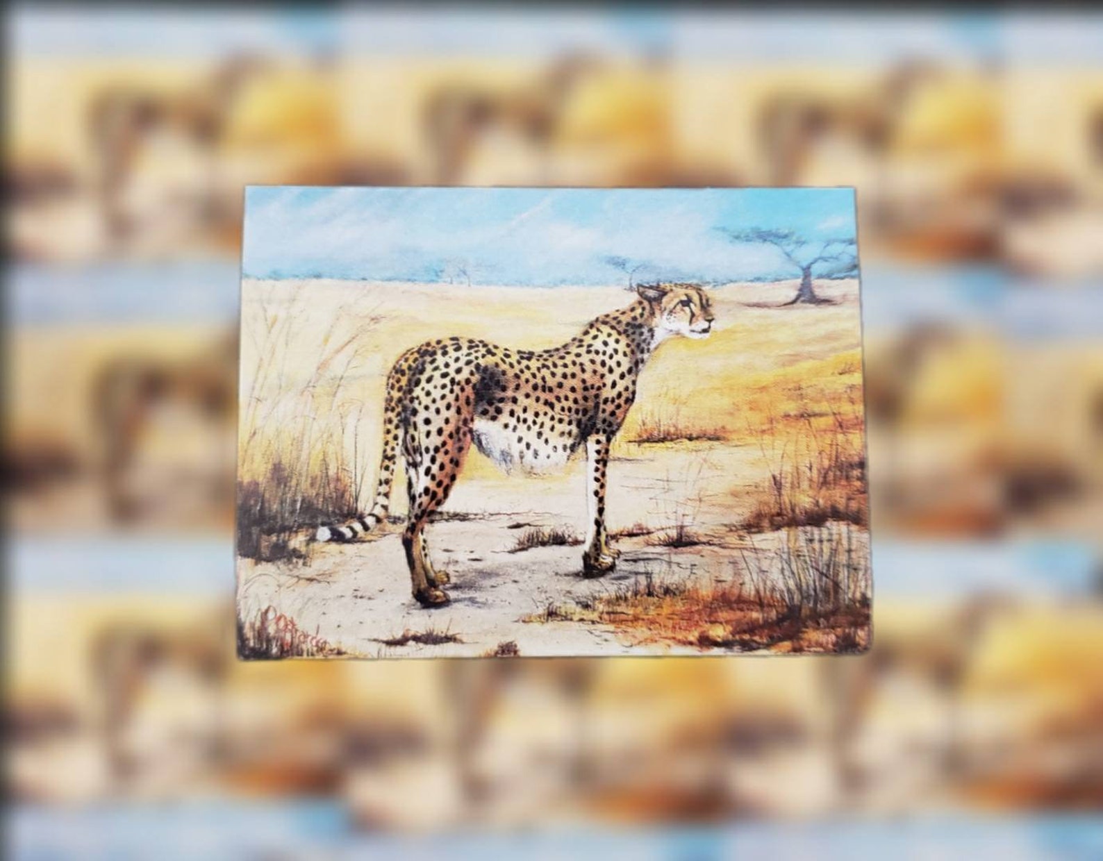 Gepard Sticker Pack Gepard Art Safari Sticker Wildlife | Etsy