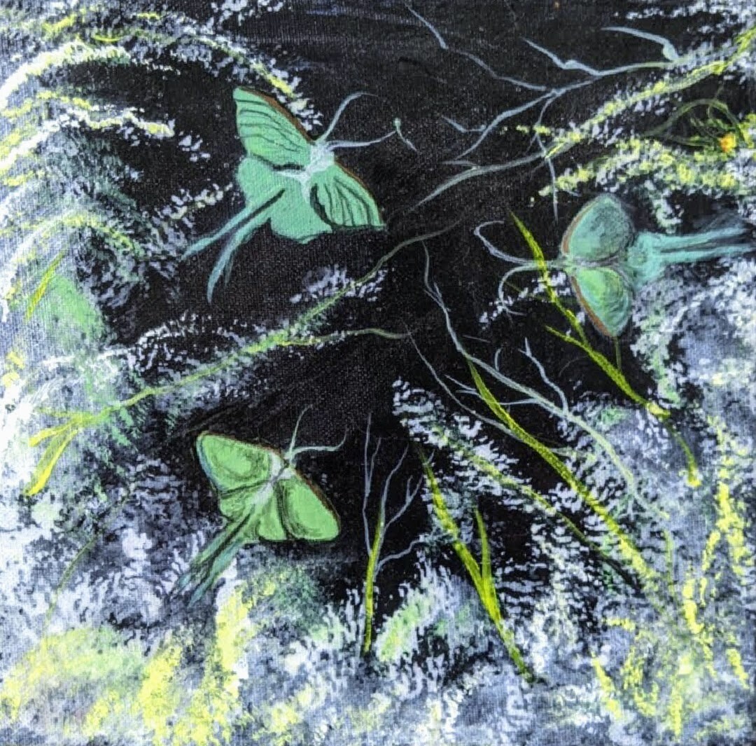 Luna Moth Magnet Spooky Magnet Bug Magnet Insect Magnet - Etsy