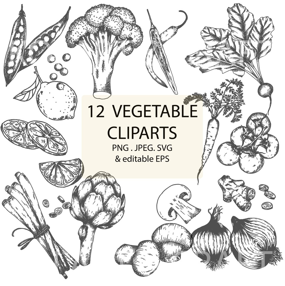 Hand Drawn Vegetable Clipart / Line Pen Drawing - Etsy