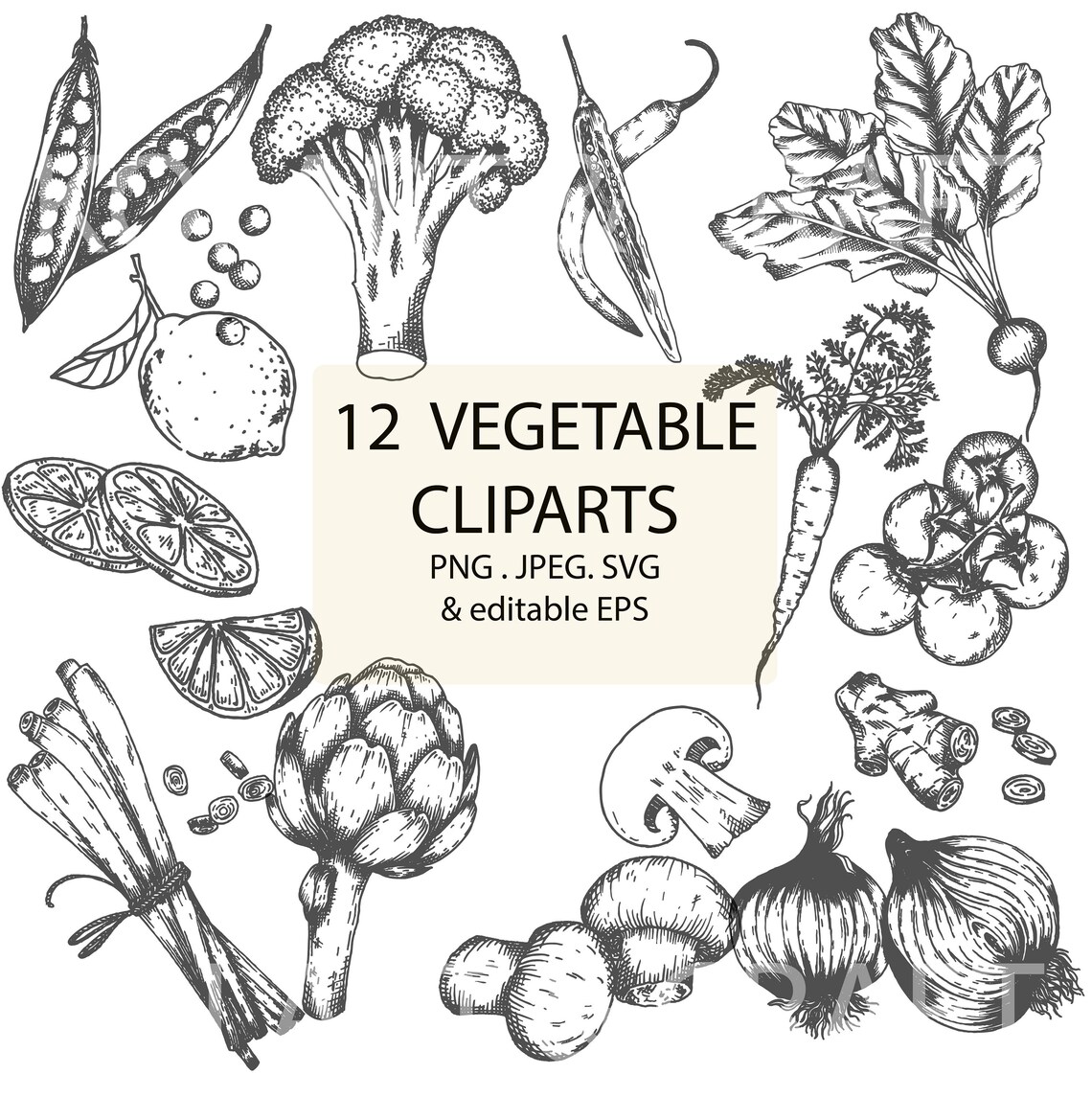Hand Drawn Vegetable Clipart / Line Pen Drawing - Etsy