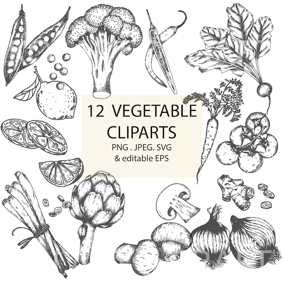 Hand Drawn Vegetable Clipart / Line Pen Drawing | Etsy