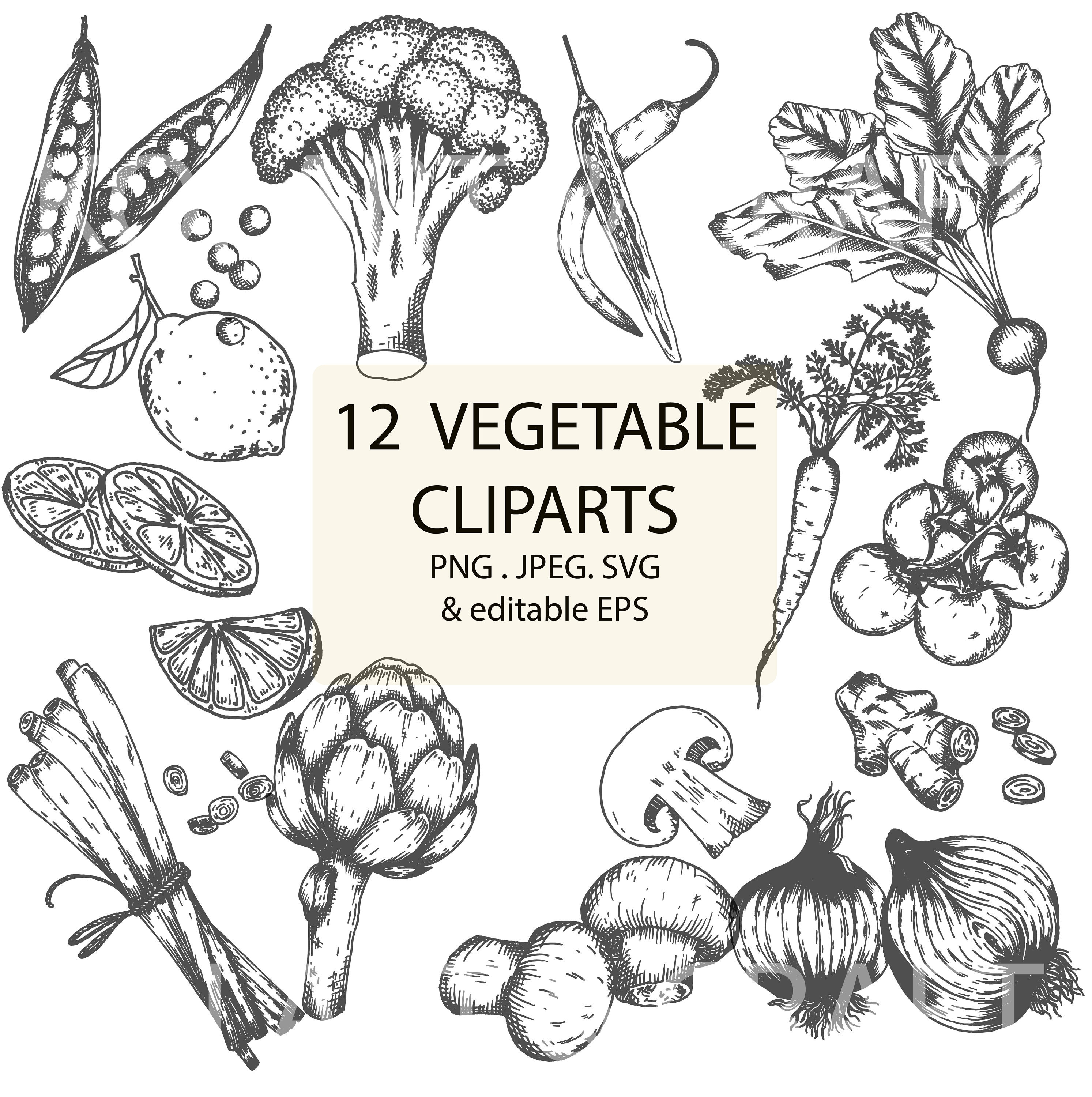 Vegetables Line Drawing