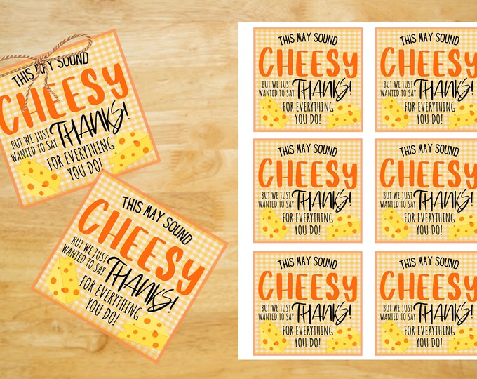 Felt Cheese Cheez It Crackers in Bag - Pretend Food for Children ...