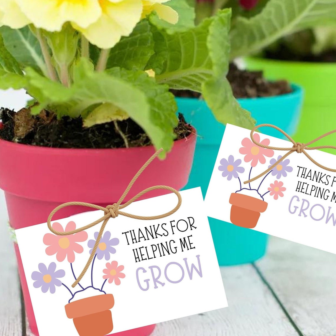 Teacher Appreciation Gift Tags, Thank You for Helping Me Grow ...