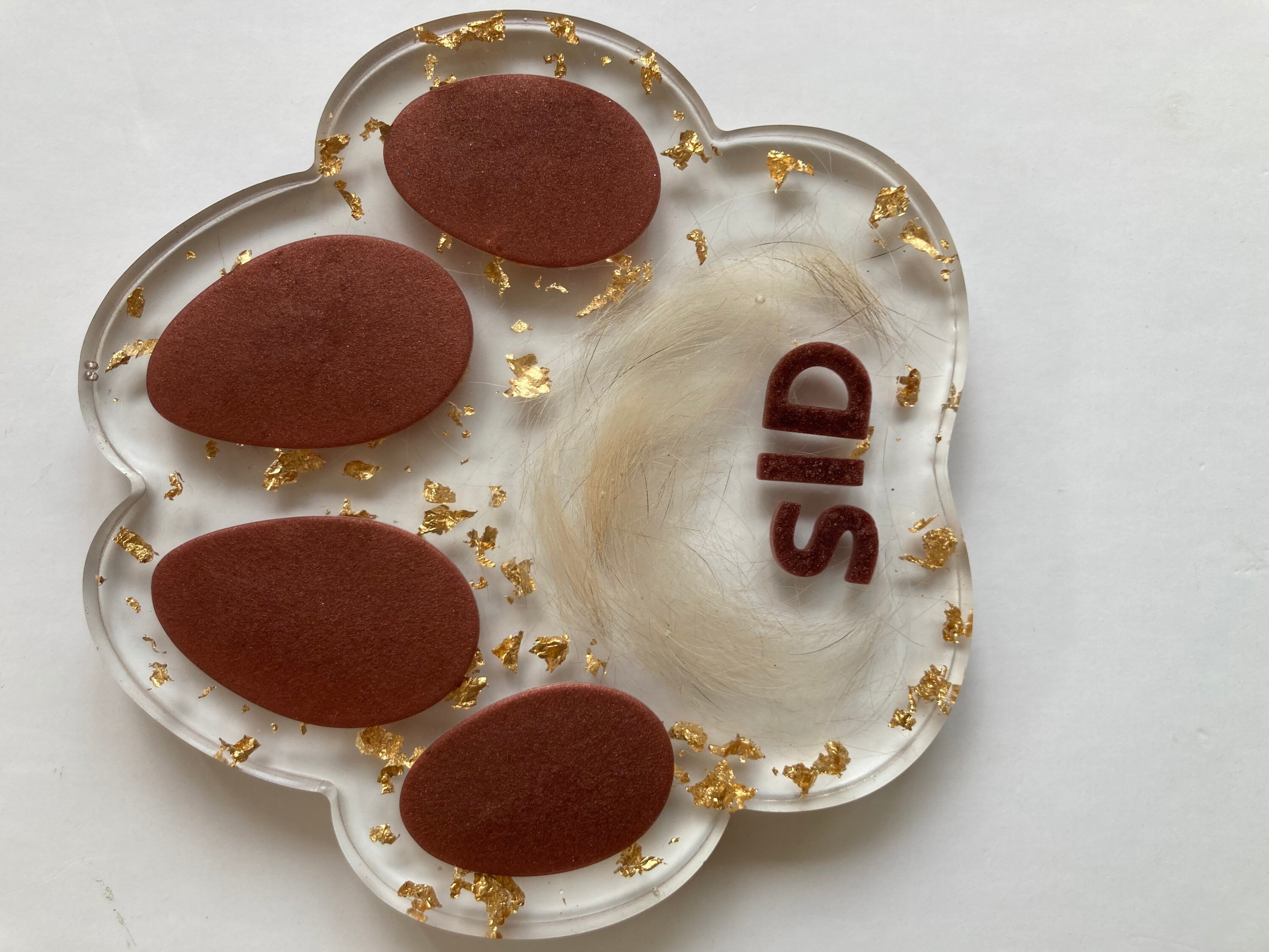 Paw Print Keepsake Coaster | Etsy