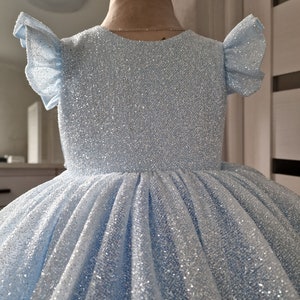 Blue Sparkly Flower Girl Dress,flower Girl Dress Toddler,blush Glittery ...