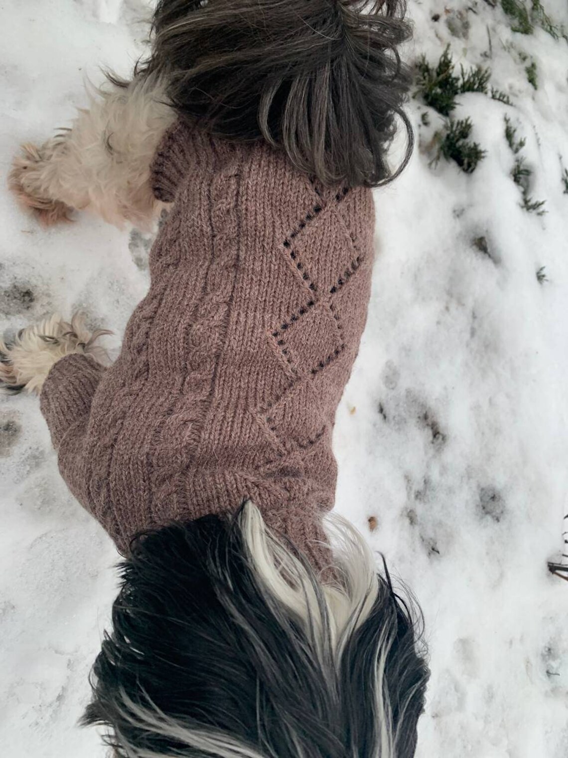 Alpaca Wool Dog Walking Outfit - Cable Knit Canine Sweater - Custom Dog ...