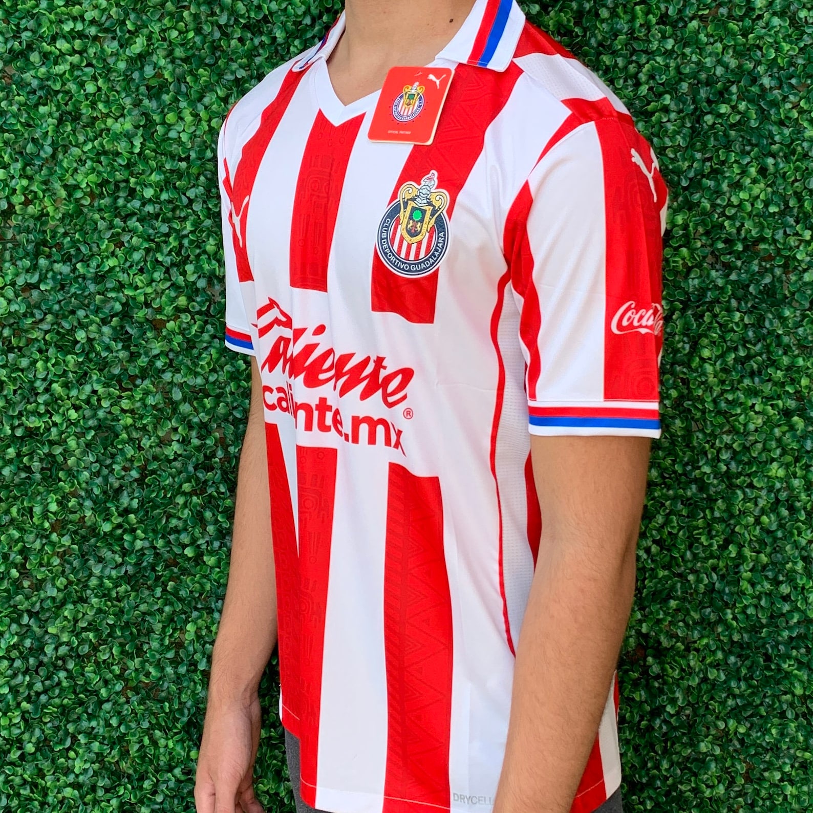 Chivas Home Soccer Jersey 2021 | Etsy