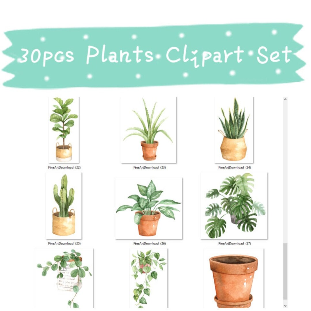 30PCS Plants Clipart Set - Potted Plant Images - Indoor Greenery ...