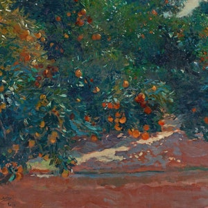 FREE SHIPPING - Vintage Orange Tree Art Print - Beautiful Fruit Tree ...