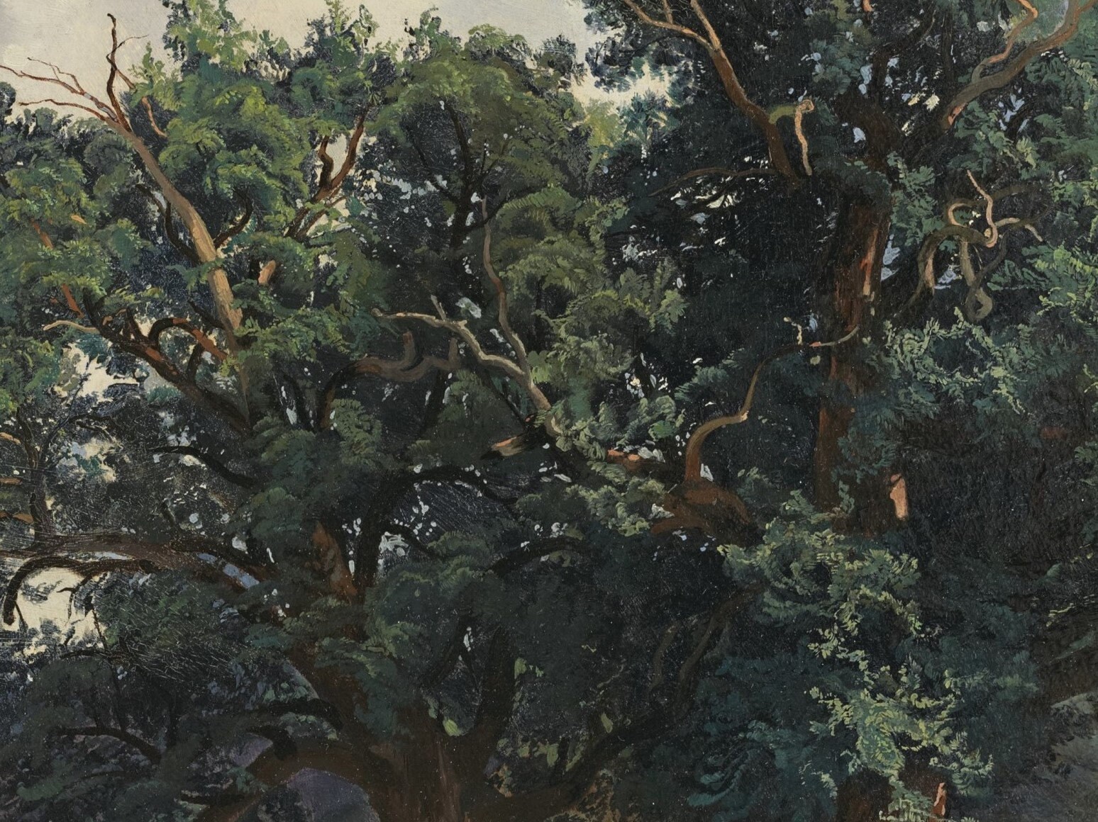 FREE SHIPPING Vintage Oak Tree Painting 19th Century - Etsy