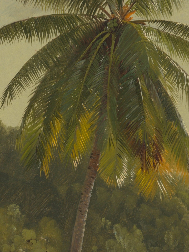 Vintage Palm Tree Art Print – Restored 19th Century Oil Painting - Etsy ...