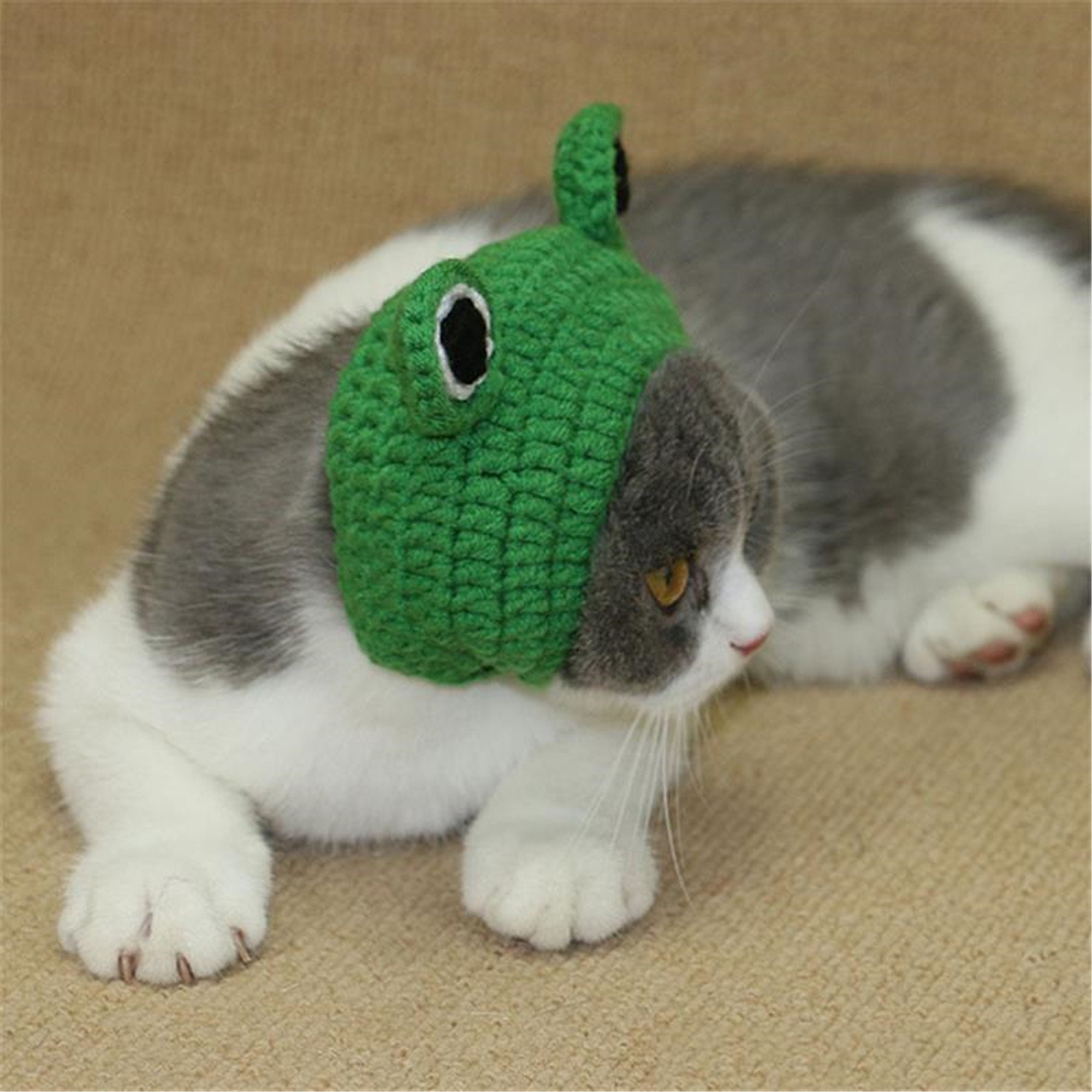 Knitting Wool Pet Hat Cute Cat Headwear Frog Puppy Kitten Hat | Etsy