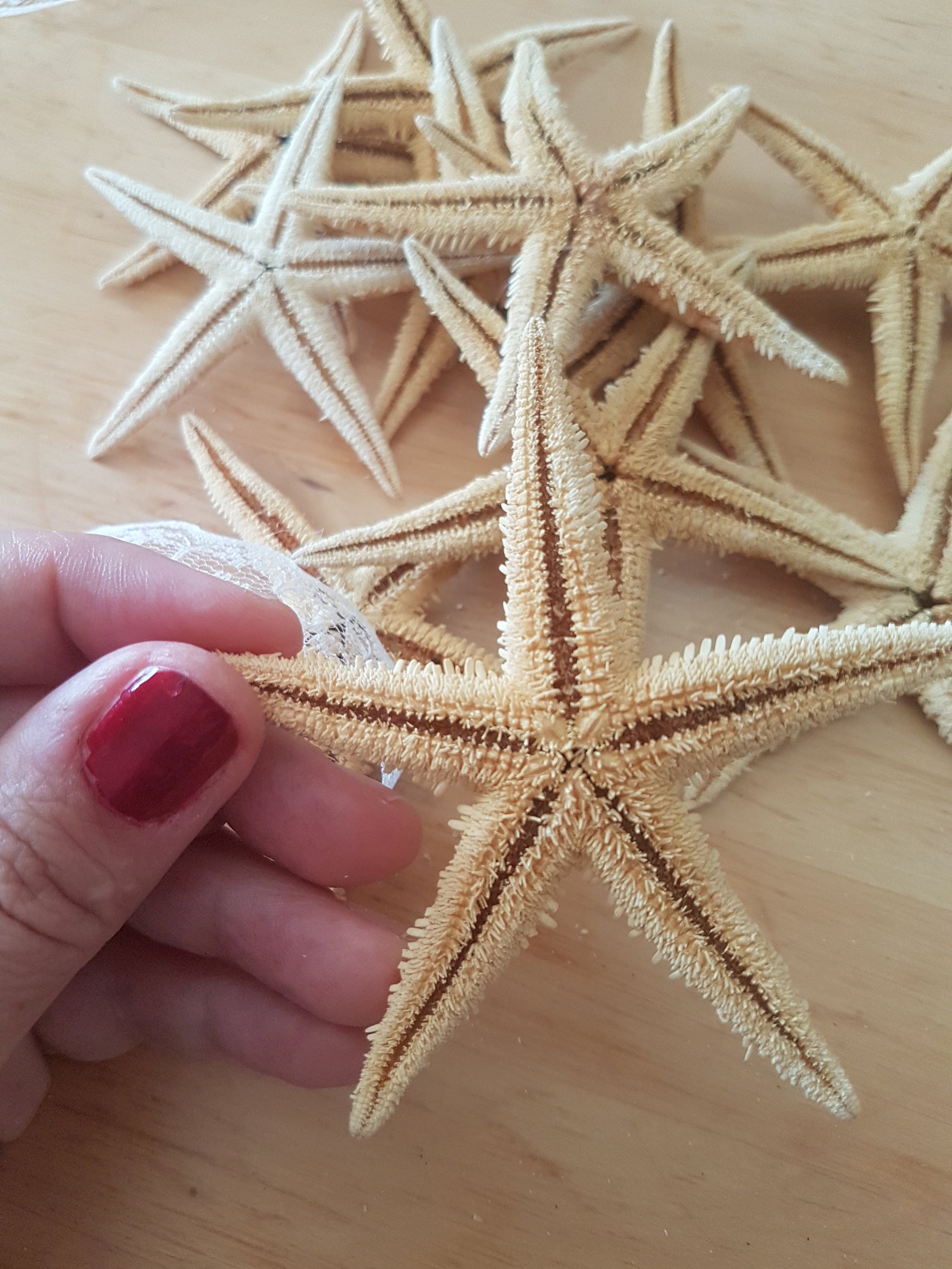 Real Starfish Wedding Favor Starfish Decor Beach Wedding | Etsy