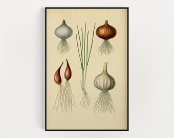 Print of Watercolor Vegetable Painting Green Onion Painting - Etsy