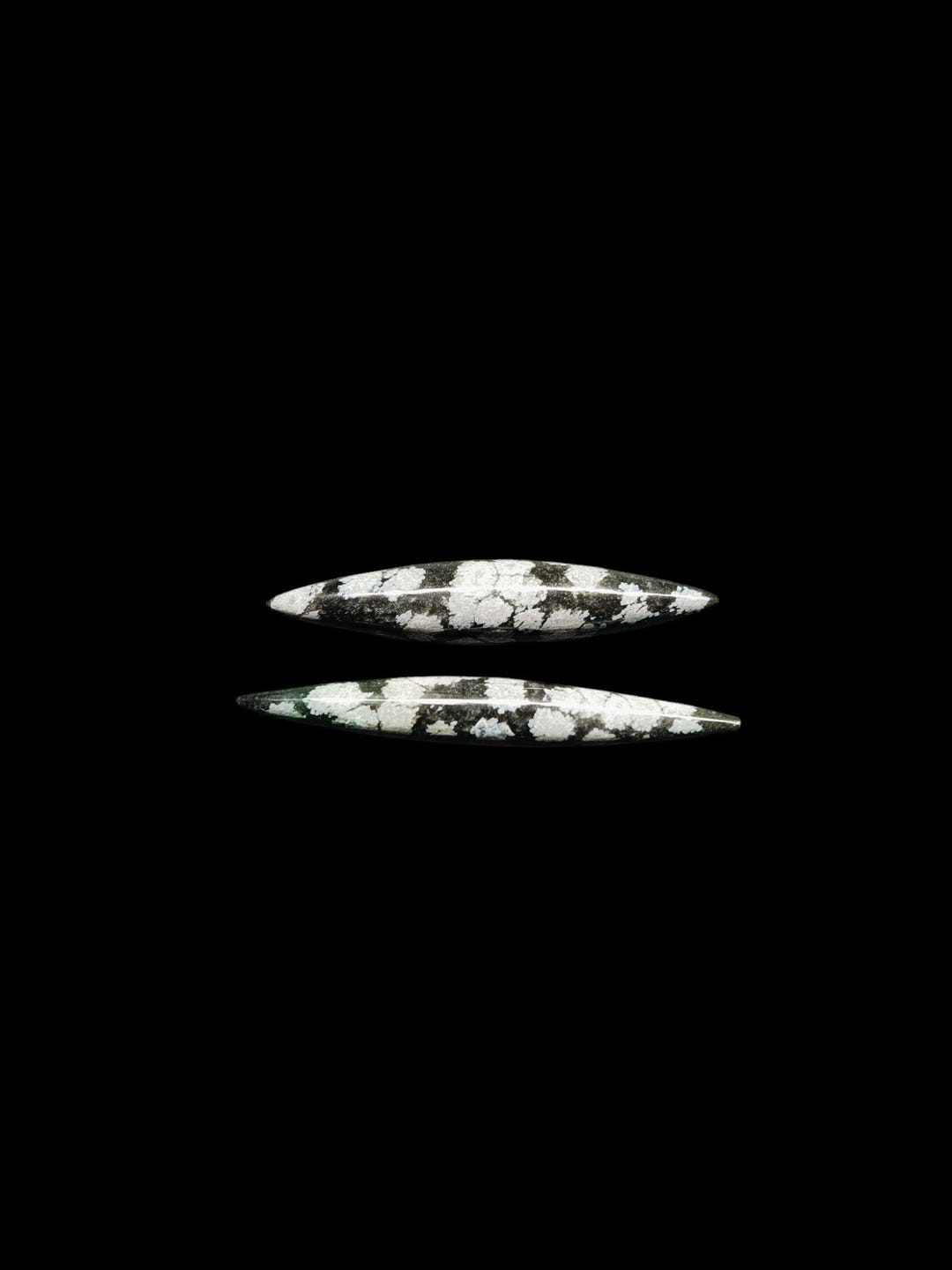 Jespar Tusk Buffalo Horn Tusk , 12g(2mm) to 0000g(12mm) - Etsy
