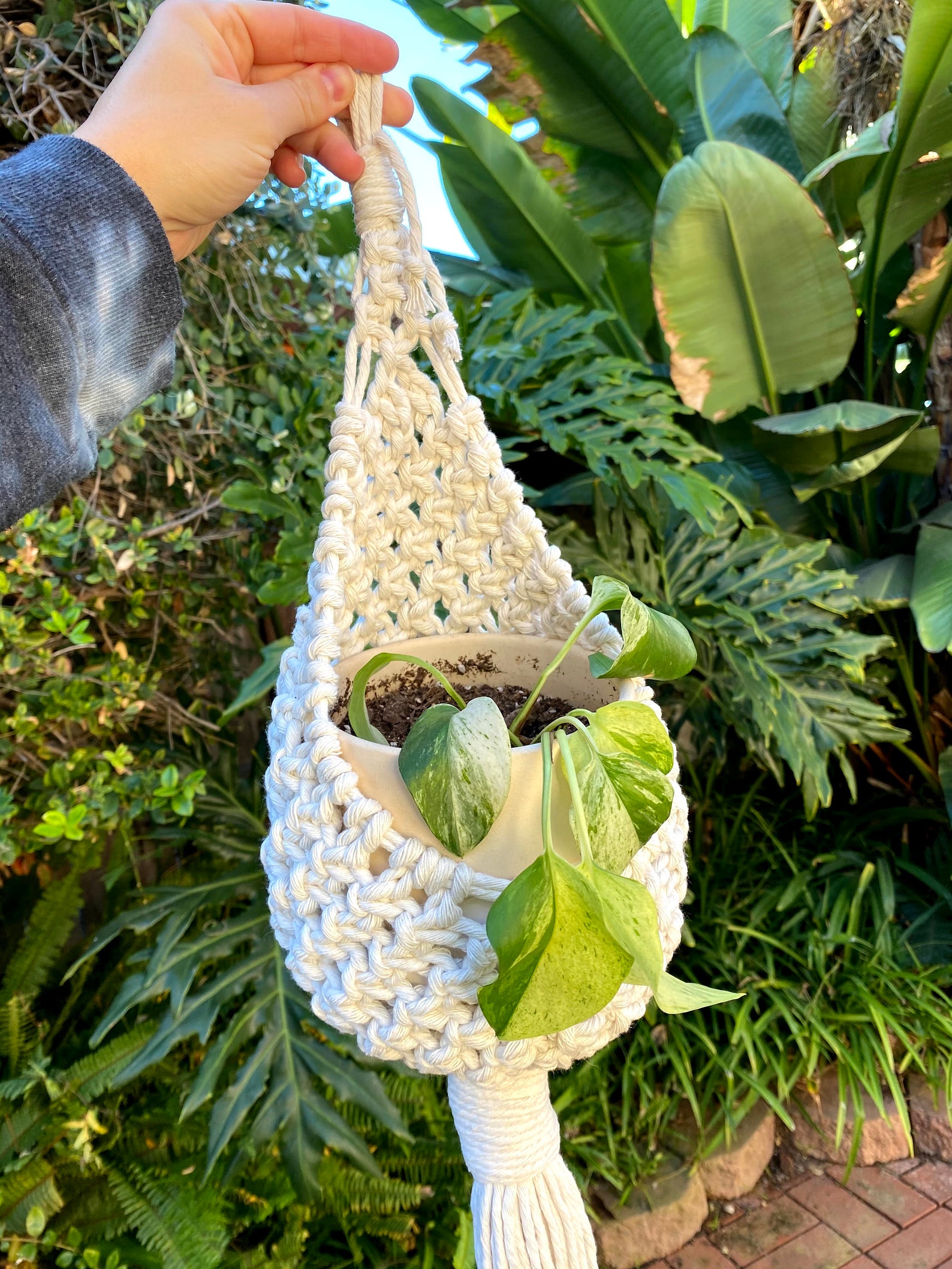 Macrame Bird's Nest Plant Holder/ Boho Decor/ Macrame Wall | Etsy