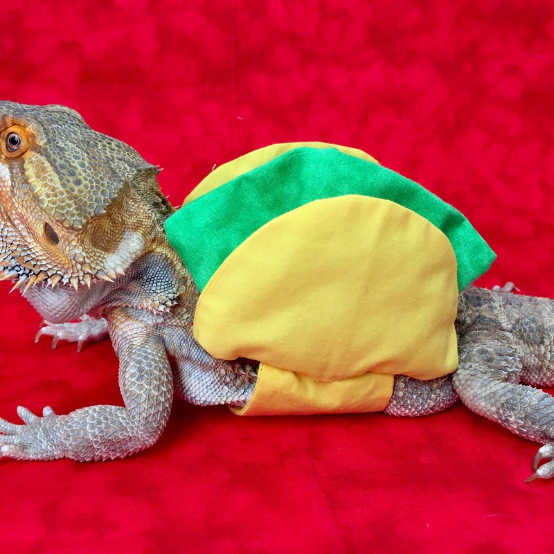 Lizard Costume - Etsy