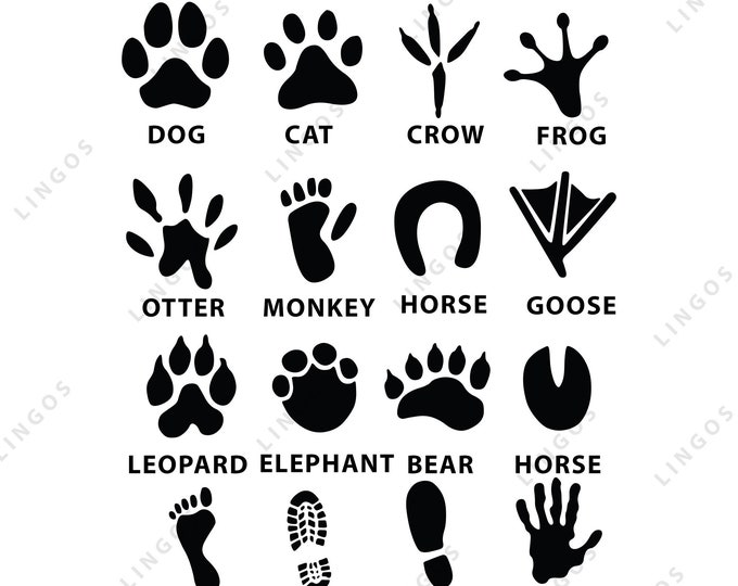 Printable Animal Footprints Flashcard - Printable Animals With ...