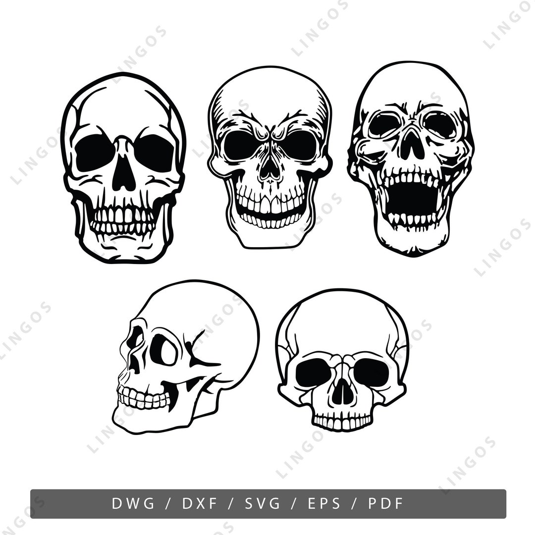 Skull Bundle Svg File, Skeleton Vector File, Skull PDF, DWG, Skull Dxf ...