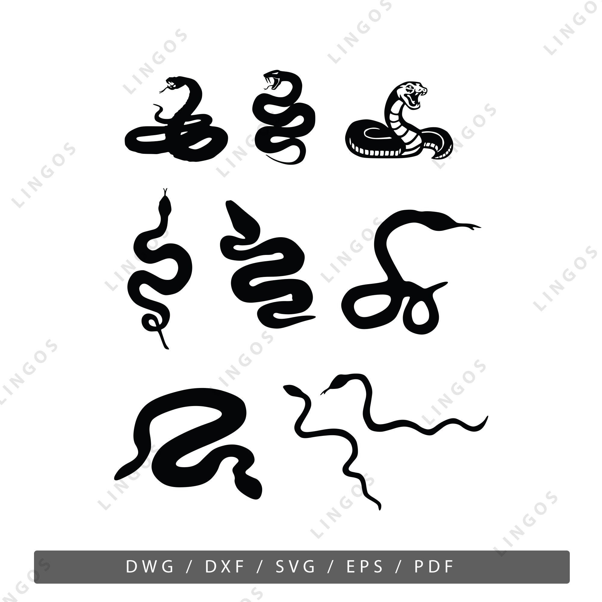 Snake Vector, Serpent SVG Bundle, Reptile Pdf File, Animal DWG, Dxf ...