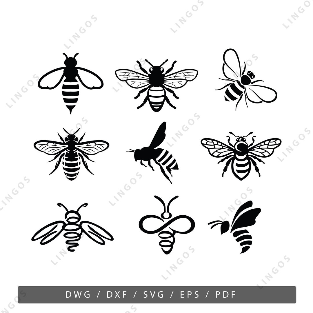 Bee Bundle SVG, Honey Bee Vector, Bundle Pdf, Bee Cricut File, Bee Eps ...