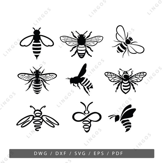 Bee Bundle SVG Honey Bee Vector Bundle Pdf Bee Cricut File | Etsy