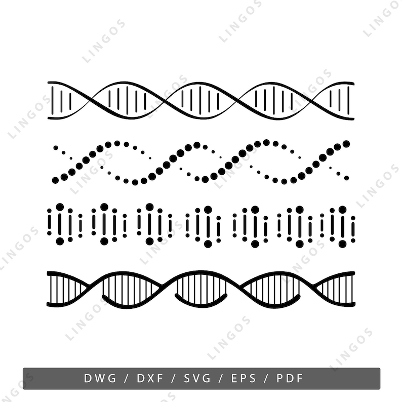 DNA Vector File Spiral Bundle Svg Filebiology Pdf Rna - Etsy