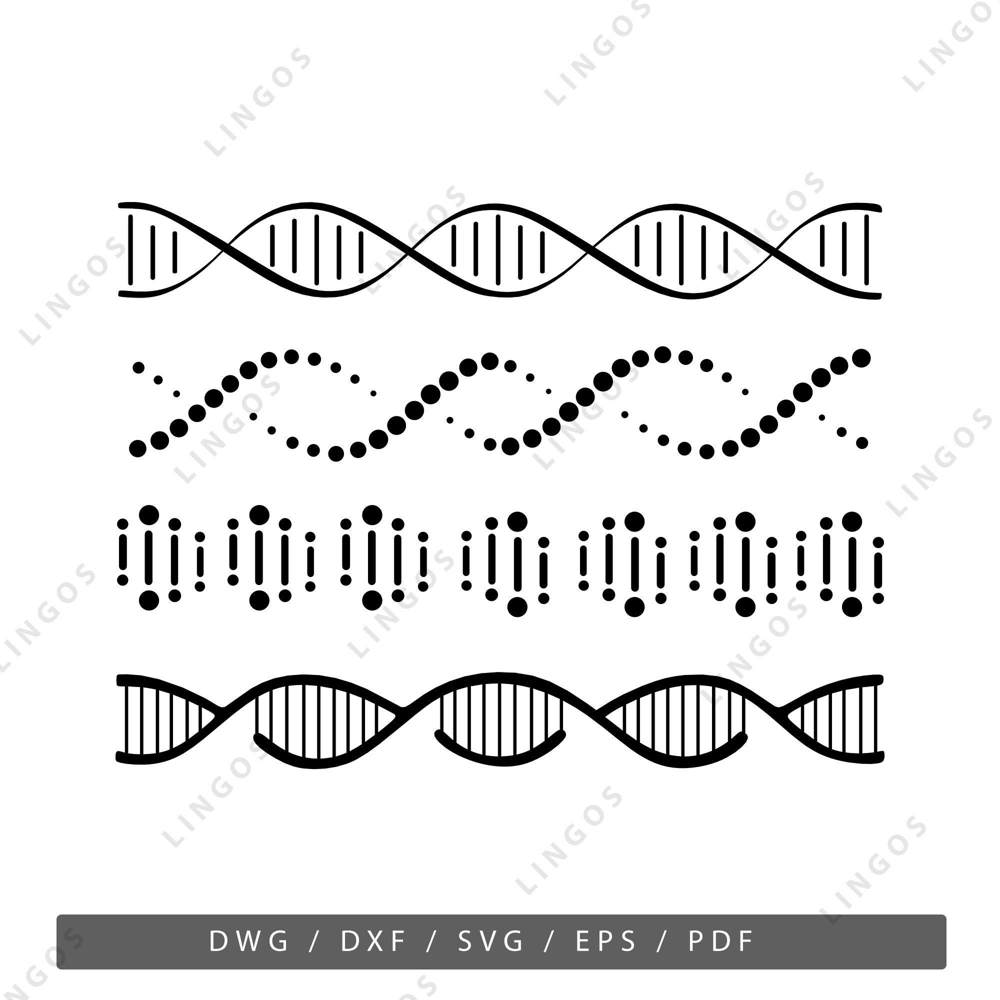 DNA Vector File Spiral Bundle Svg Filebiology Pdf Rna - Etsy